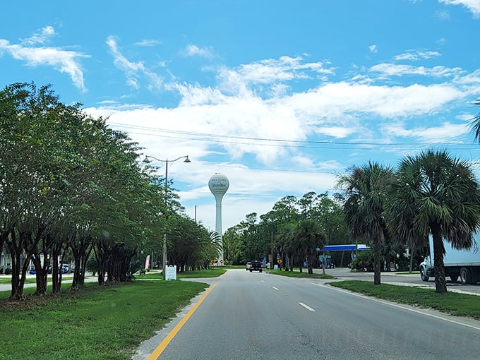 That Dauphin Island sky! Like nature's own masterpiece painting, with palm trees standing guard over roads that lead to hidden beach treasures.