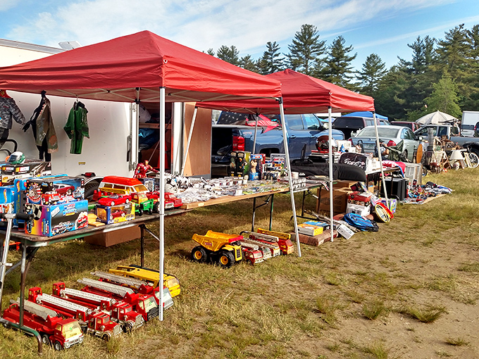 Treasure hunting goes pastoral. At Davisville, even the power lines seem to be browsing the merchandise.