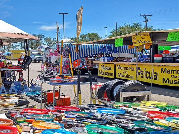 Under New Mexico's famous blue skies, this sprawling marketplace transforms parking lots into possibility fields.