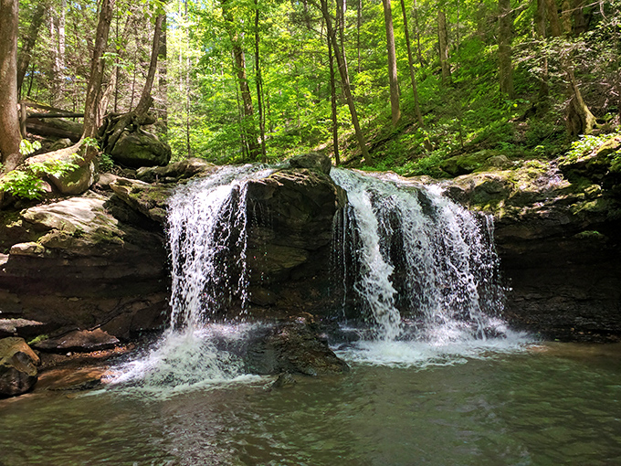 This modest waterfall in Frozen Head is like the opening act that unexpectedly steals the show.