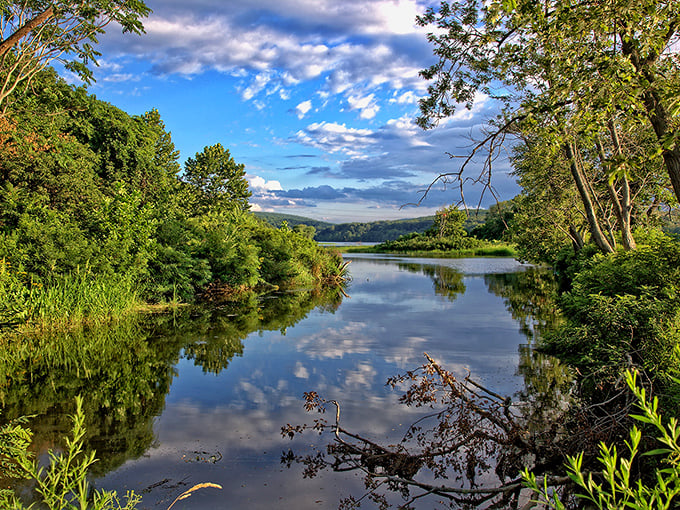 Hurd State Park's lush greenery creates a watercolor painting of emerald and jade, with the pond as nature's mirror.