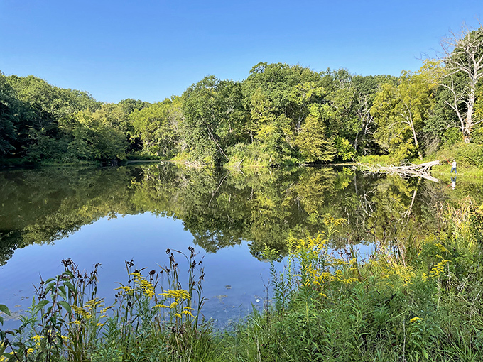 The river cuts through green valleys like a blue ribbon on nature's gift. Perfect spot for contemplating life's big questions.