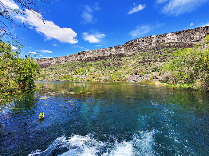 Emerald waters so clear they seem Photoshopped! Niagara Springs proves Mother Nature was showing off when she made Idaho.