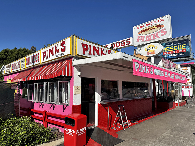 Pink's vibrant facade stands as Hollywood's most democratic landmark &ndash; celebrities and civilians alike surrender to chili dog temptation.