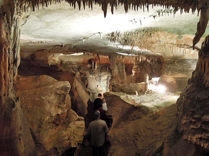 Rickwood Caverns: where stalactites and stalagmites have been playing the world's slowest game of connect-the-dots for millennia.