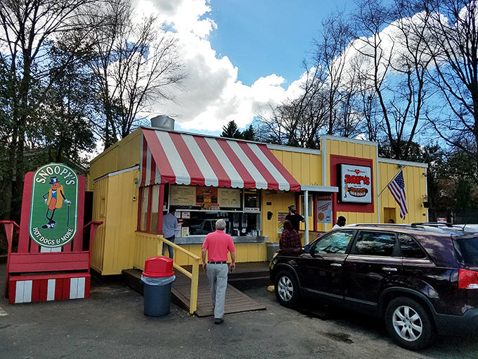 Snoopy's clean lines and no-nonsense architecture tell you everything: they're focused on the dogs, not the decor.