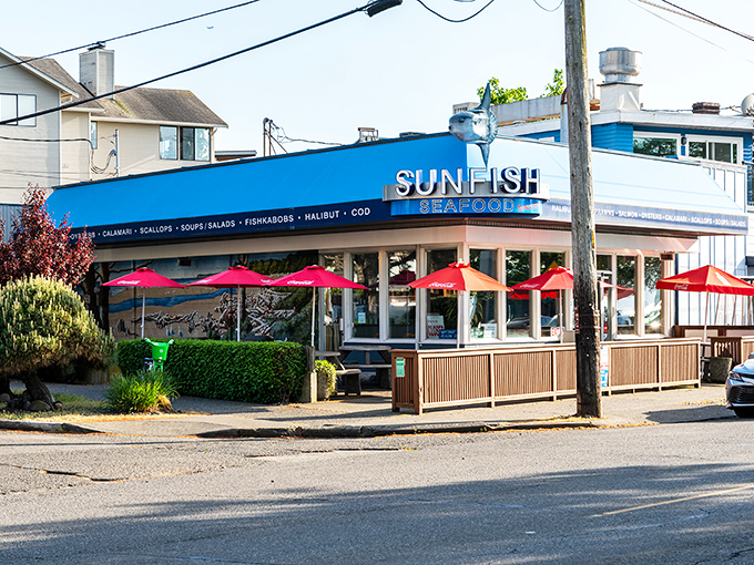 Sunfish's bright blue exterior isn't being subtle – it's proudly announcing "WE HAVE FISH" to anyone within eyesight.