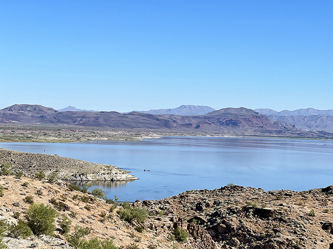 The vast blue waters of Alamo Lake create a startling contrast against the rugged desert landscape.