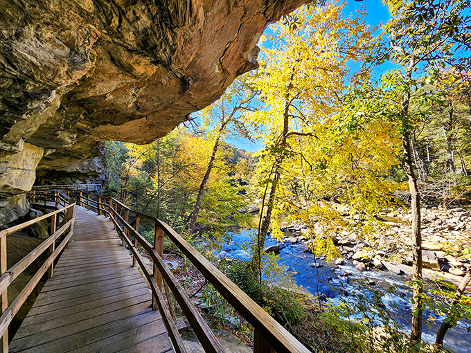 The wooden boardwalk at Audra hugs the riverbank like an old friend. Nature's version of the yellow brick road!