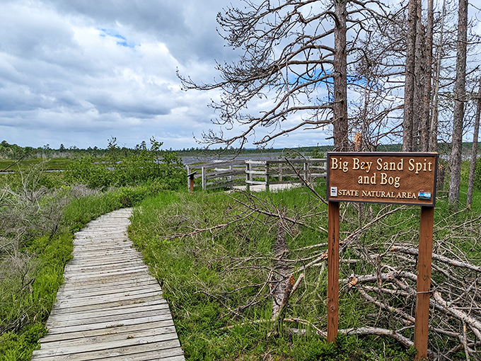 The boardwalk at Big Bay State Park - where every step feels like you're walking through a National Geographic spread.