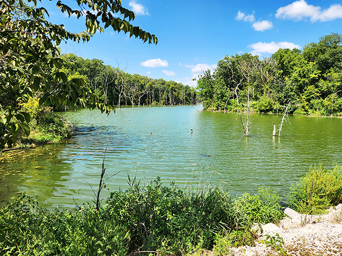 Mother Nature's swimming pool! Brushy Creek's emerald waters surrounded by forest feel like a secret oasis in corn country.