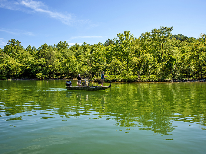 Houseboats line Buckhorn Lake's shore like a floating neighborhood, each one promising lazy days and starlit nights.