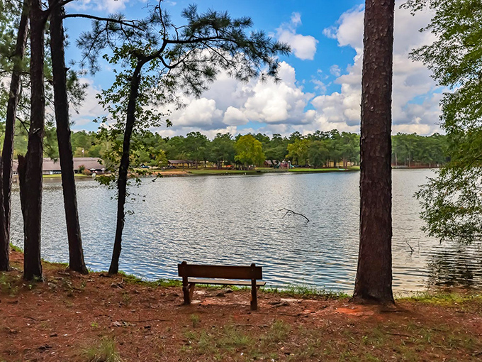 Tall pines standing guard at Clarkco State Park, nature's own version of an exclusive gated communit