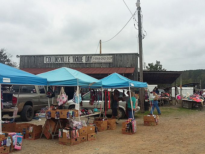 Blue tents dot the landscape at Collinsville Trade Day, each one a potential goldmine of stories waiting to be discovered.