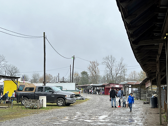 Where Mississippi families have been wheeling, dealing and discovering for generations. The outdoor market experience hasn't changed much &ndash; thankfully!
