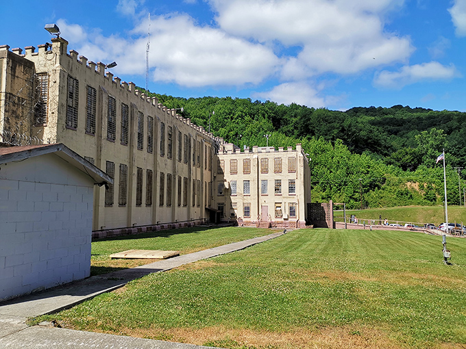 Autumn paints Frozen Head's forest in shades that would make even Bob Ross reach for extra cadmium yellow.