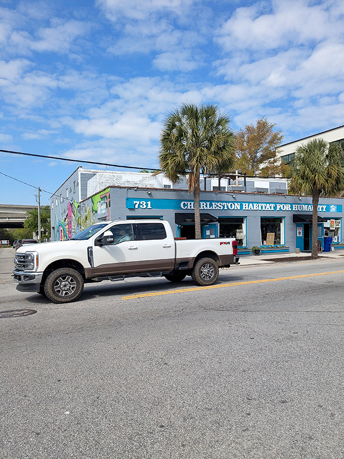 Palm trees outside, bargains inside&mdash;this ReStore feels like a tropical vacation for DIY enthusiasts hunting for that perfect piece.