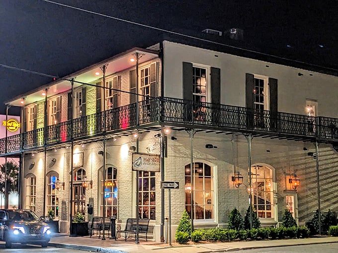 Sunlight streams through Half Shell's windows, illuminating a space where oysters are treated like the royalty they are.