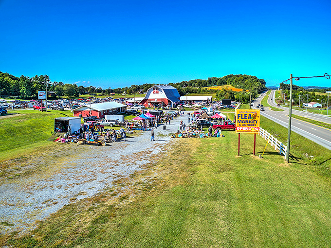 Nature provides the ceiling for these roadside vendors, where weathered canopies shelter unexpected treasures.