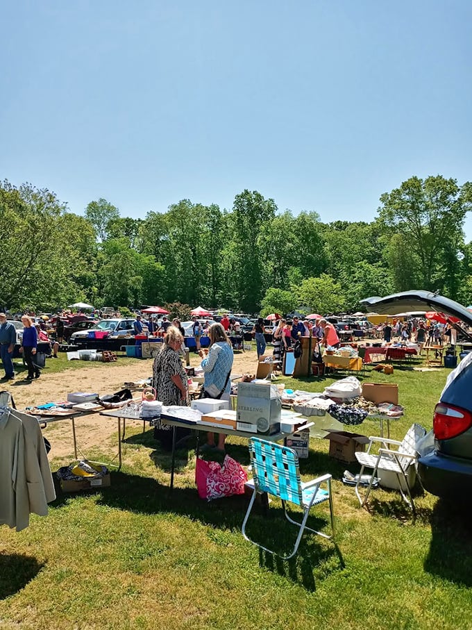 Cars and shoppers fill the field like a scene from American Graffiti, except everyone's hunting for vintage finds instead of racing.