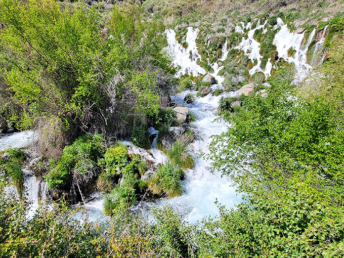What looks like a tropical waterfall oasis somehow exists in Idaho's canyon country. Mind = blown!