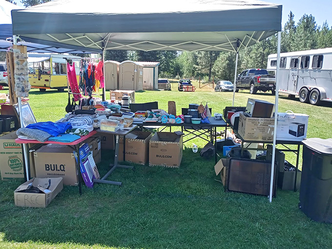 Blue skies, white tents, and endless possibilities. This outdoor bazaar feels like a small-town festival where the souvenirs actually have character.