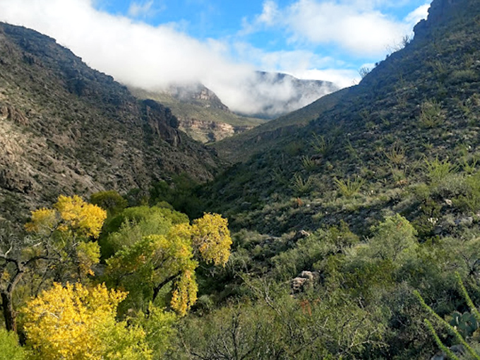 Dog Canyon's hidden oasis, where clouds play hide-and-seek with mountain peaks and desert valleys.