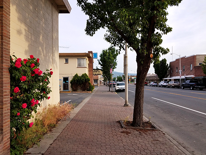 The simple beauty of Omak's main street, where flower baskets add pops of color to this affordable retirement gem.