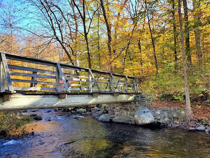 Fall fashion show at Ringwood State Park! These trees dress better than I do, and they don't even have a mirror.
