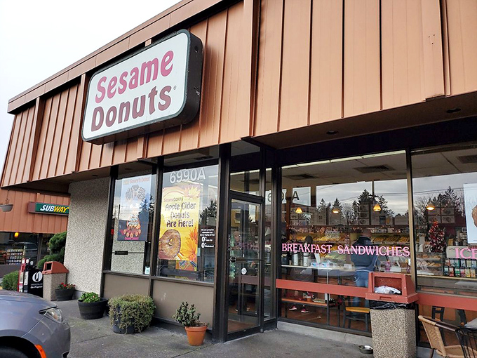 Morning sunshine makes Sesame's simple s P