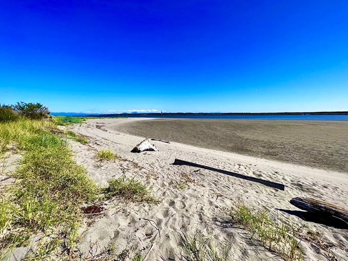 Where land meets water in perfect harmony. This pristine stretch of beach offers enough space for contemplation without a single email notification.