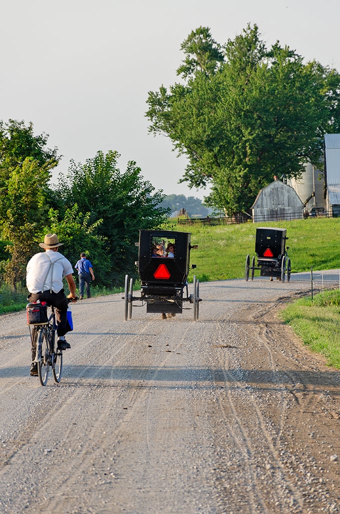 Rural transportation hierarchy in action: bicycle, buggy, buggy. The Amish commute hasn't changed much since your great-grandparents' time.
