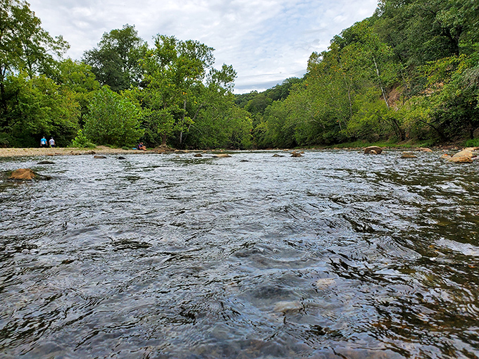 Wolf Creek's gentle current whispers stories of the land it has shaped. A natural meditation space where stress dissolves faster than aspirin.