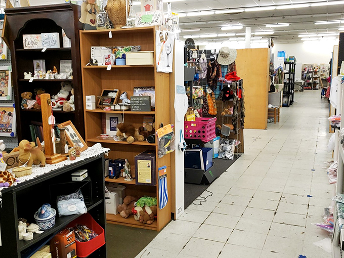 Strolling these aisles feels like walking through someone's beautifully organized memories. Each booth reveals another vendor's passion and personality.