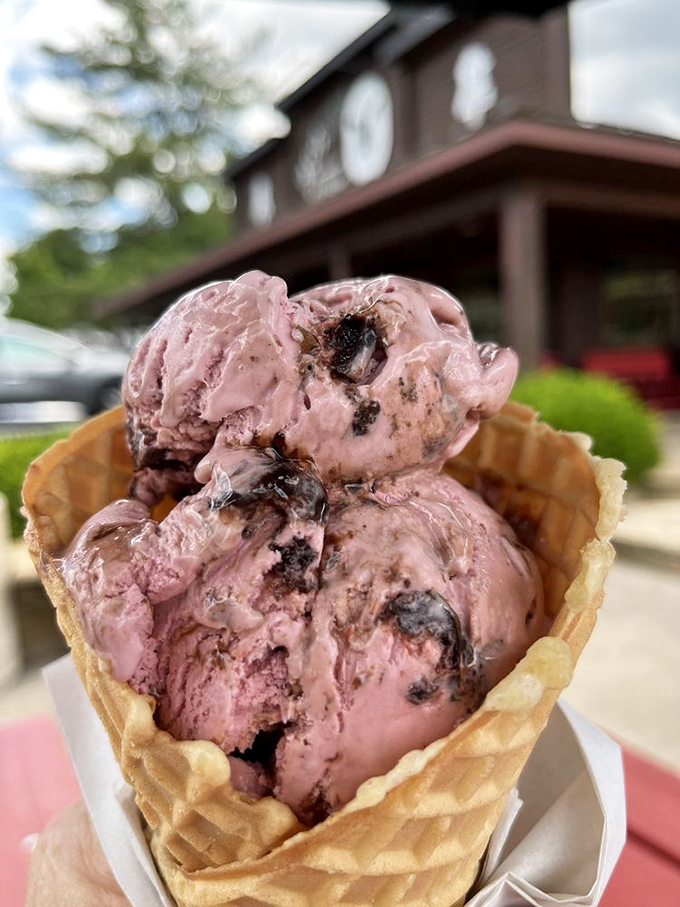 Cherry Moobilee in its natural habitat&mdash;a freshly made waffle cone positioned perfectly for that all-important first lick of summer.