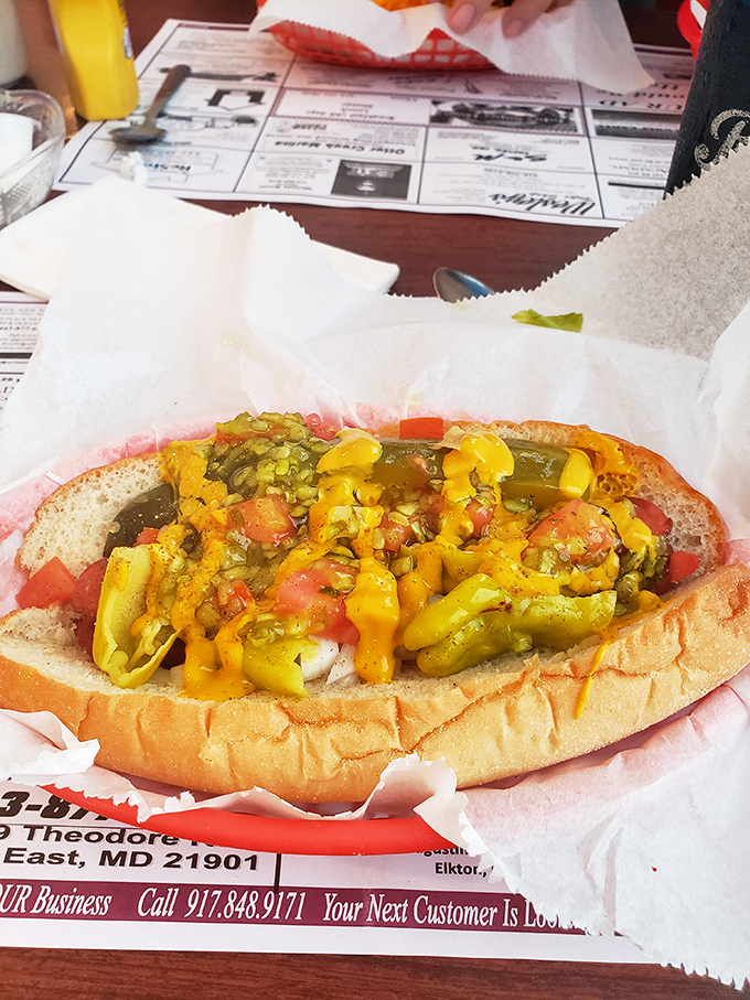 Behold the Chicago Dog in all its loaded glory! More toppings than a presidential debate has interruptions, and twice as satisfying.