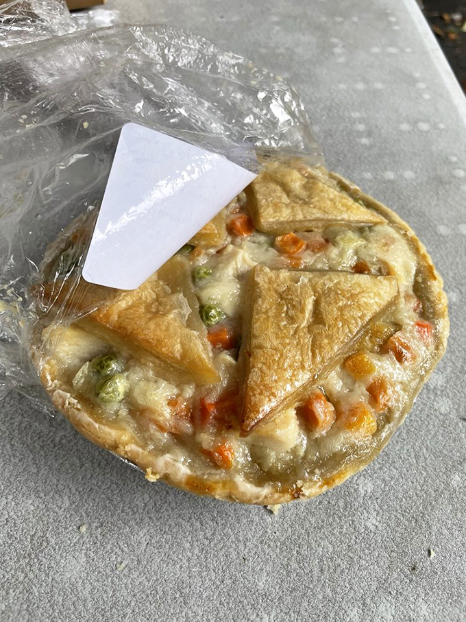 This chicken pot pie isn't just dinner; it's edible architecture with a golden dome of pastry hiding a savory treasure of perfectly seasoned filling.