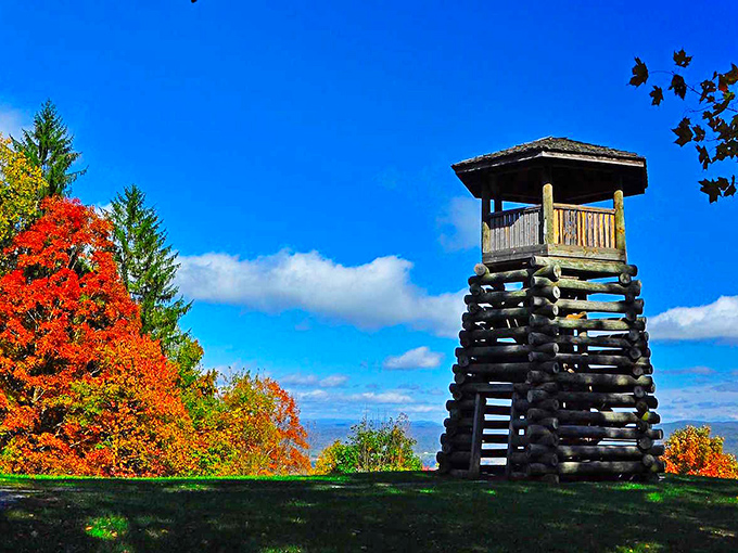 This wooden observation tower offers panoramic views that would make even seasoned travelers catch their breath&mdash;nature's IMAX without the overpriced popcorn.