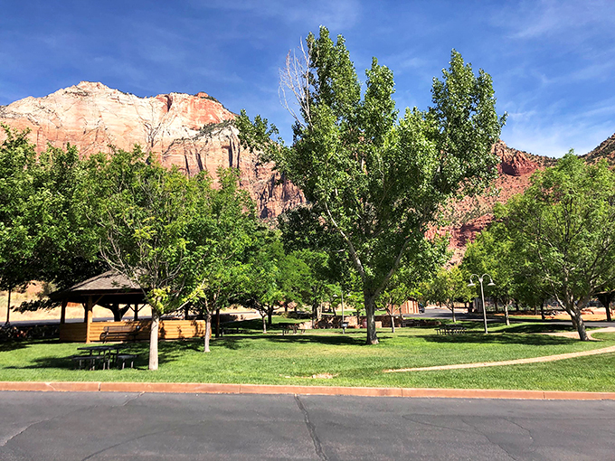 This isn't just a park, it's nature's living room. Picnic tables and shade trees invite you to pause beneath those magnificent red rock walls.