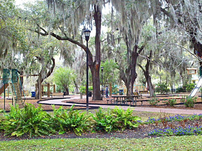 Where Spanish moss plays dress-up with ancient oaks, creating nature's playground beneath a canopy of living history.