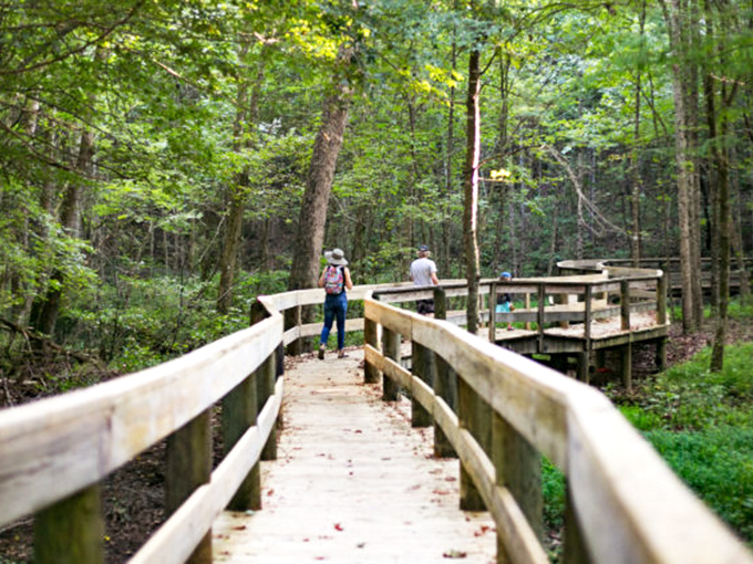 Nature's therapy session. Jonesborough's wooden walkways invite you to wander through lush forests where the only notification you'll get is birdsong.