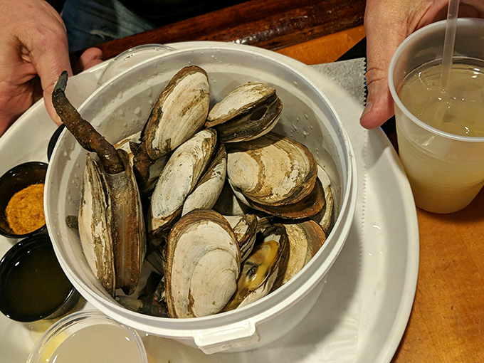 These fresh clams are having their last spa day on ice before meeting their destiny. The ocean-to-table journey at its finest. 