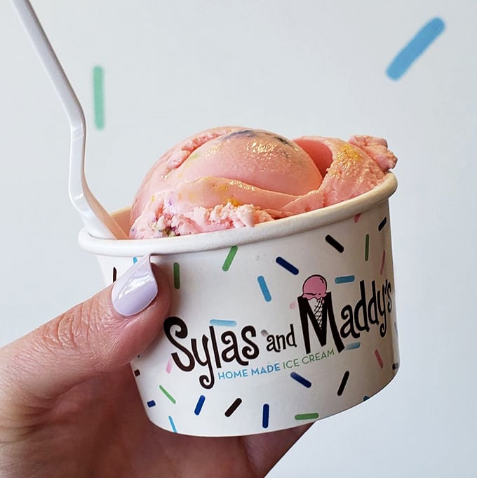 Cotton candy in ice cream form—proof that childhood joy can be scooped. The perfect pink treat that tastes like summer carnival memories.