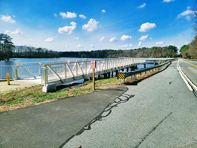 Engineering meets recreation at this pedestrian bridge, where the only toll collected is a moment of appreciation for the view.