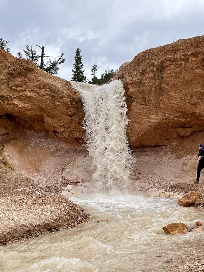The Turret Arch stands proudly between ponderosa pines, like nature's version of a medieval castle gate that forgot to close.