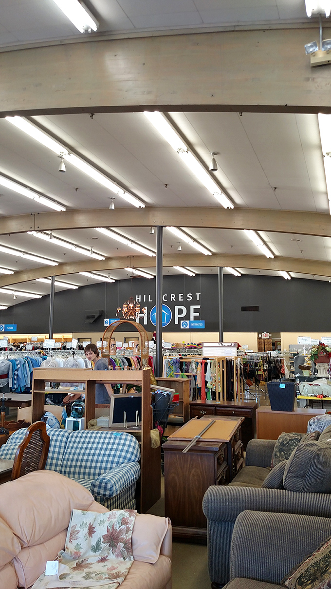 Dave's Discount Den houses an impressive lamp collection that would make any interior designer's heart skip a beat&mdash;from elegant to eclectic. 