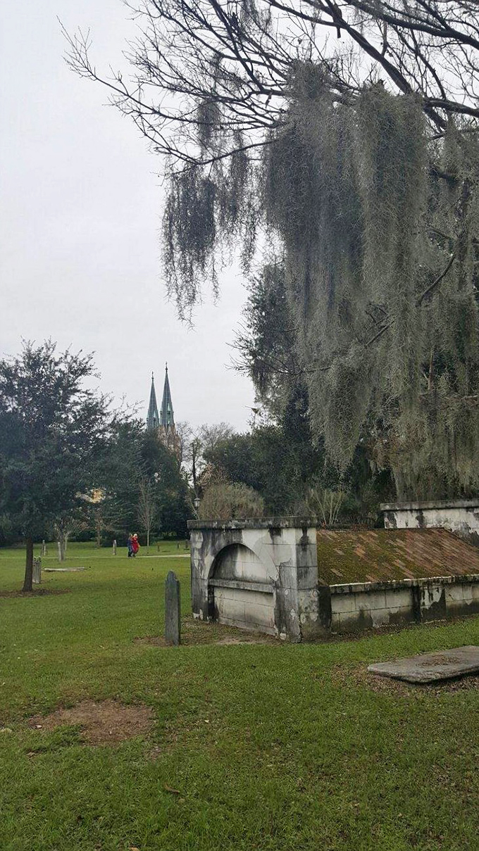 Cathedral spires peek through Spanish moss as if heaven and earth are having a quiet conversation across the centuries.
