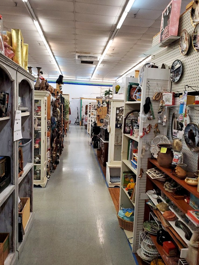 Narrow pathways lead to unexpected discoveries, like following the yellow brick road except it's linoleum and leads to someone else's memories.