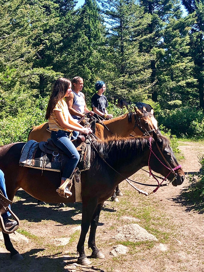 "The outside of a horse is good for the inside of a person." Few things beat exploring pine-scented trails from horseback&mdash;nature's original all-terrain vehicle.