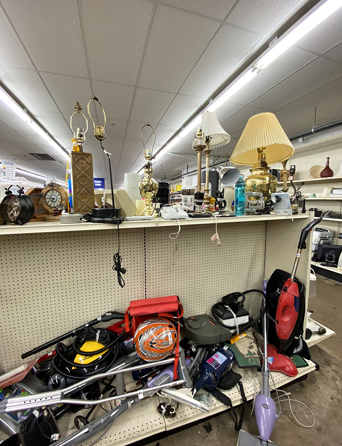 Lamps and vacuums coexist in beautiful chaos, like a museum of domestic technology where every piece tells a story of previous homes.